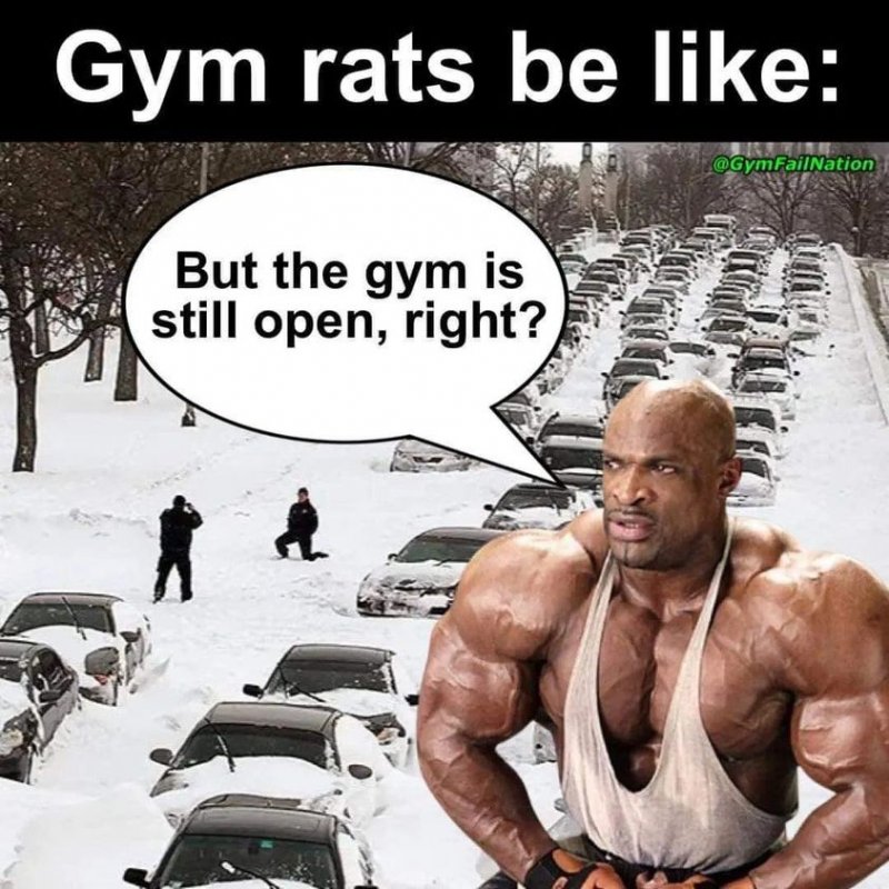 Anabolic memes - AnabolicMinds.com