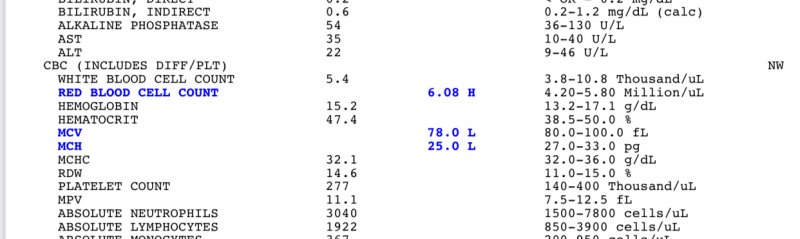 Bloodwork results. Was planning on starting first test e cycle ...